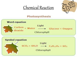Photosynthesis | PPTX