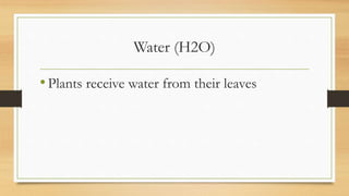 Photosynthesis | PPTX