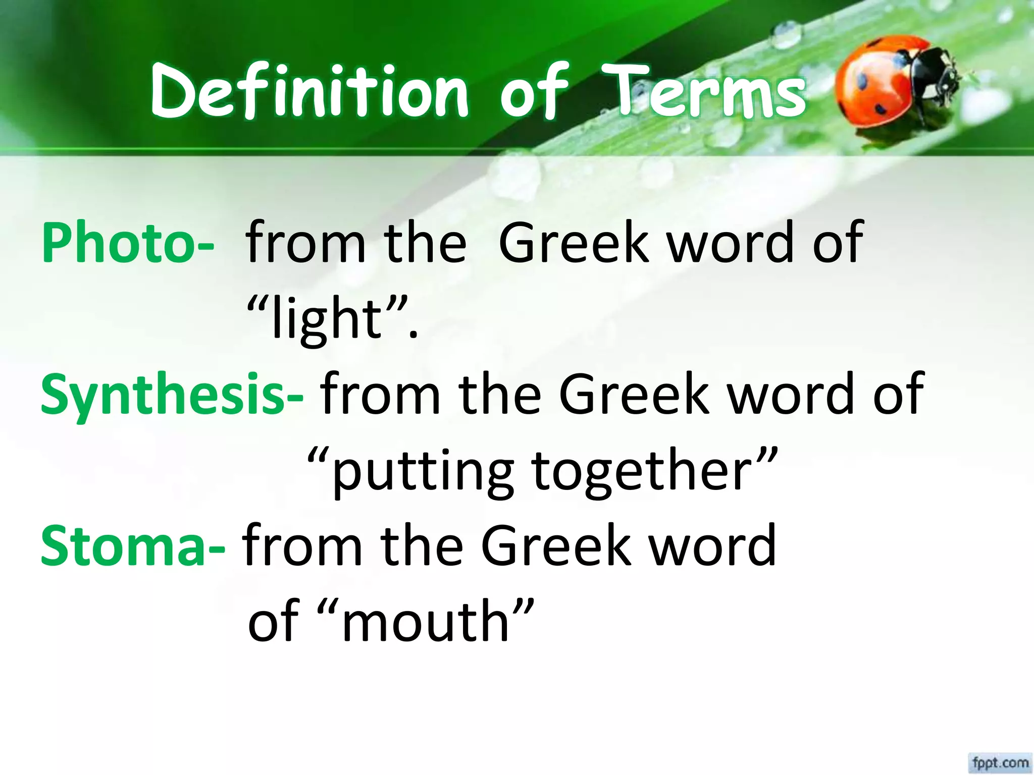 Photosynthesis | PPTX