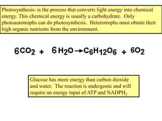 Photosynthesis | PPTX | Chemistry | Science