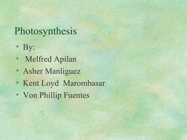 Photosynthesis | PPT