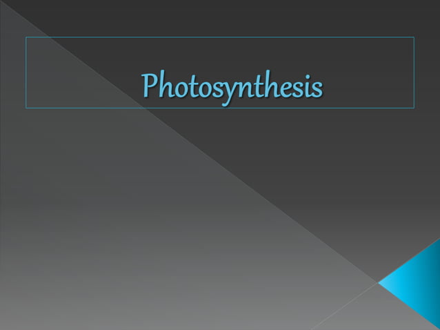 Photosynthesis.ppt