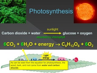 Photosynthesis.ppt