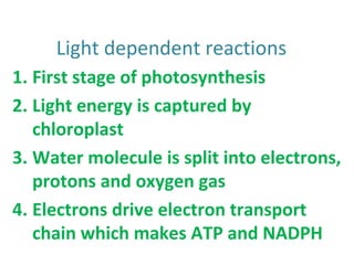 Photosynthesis | PPT | Chemistry | Science
