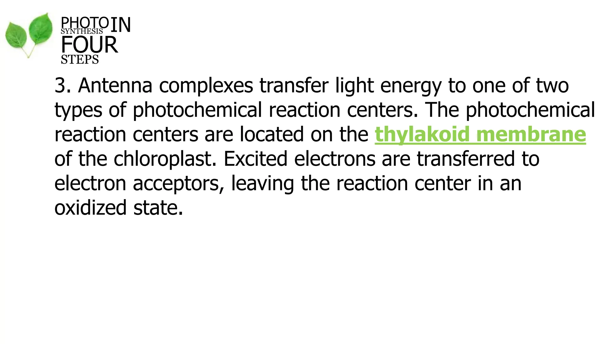 Photosynthesis | PPTX