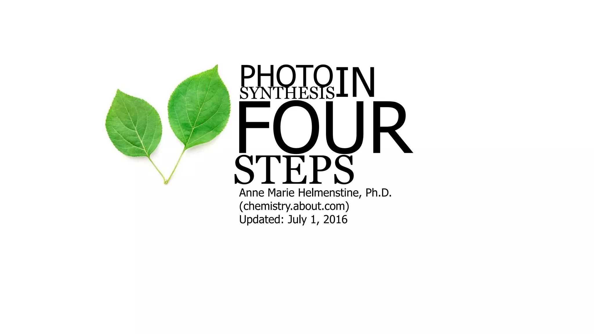 Photosynthesis | PPTX