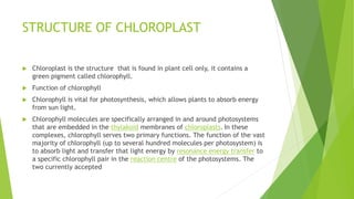 Photosynthesis in land plants | PPTX