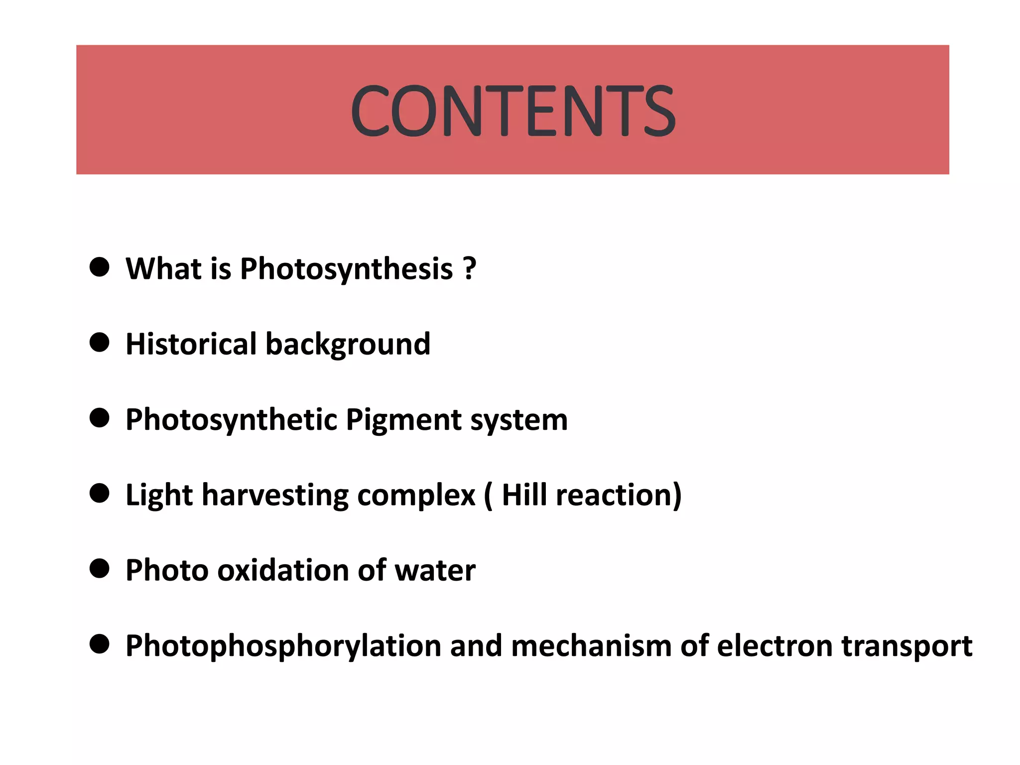 Photosynthesis | PPTX