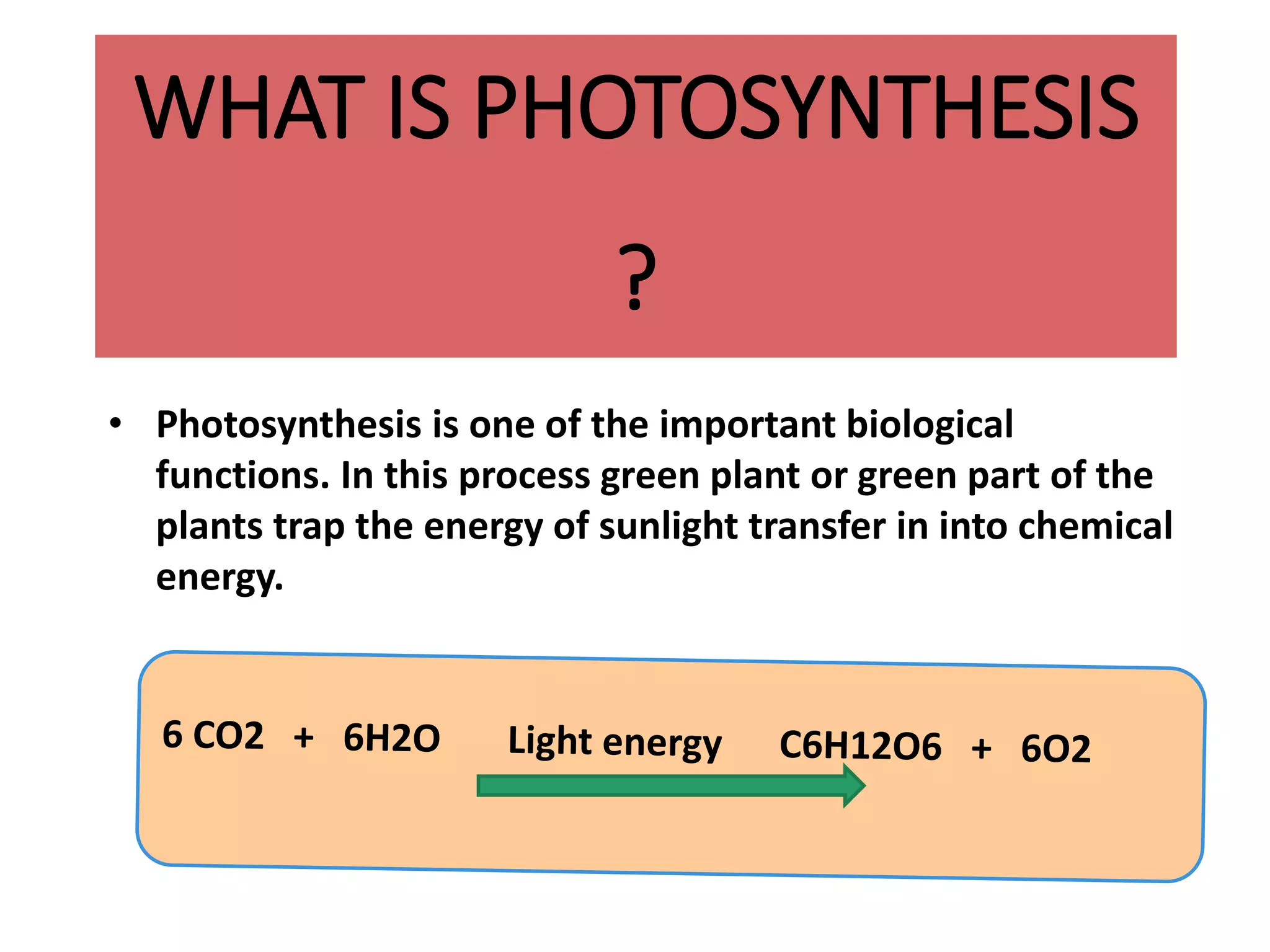 Photosynthesis | PPTX