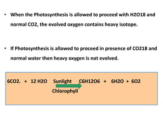 Photosynthesis | PPTX | Chemistry | Science