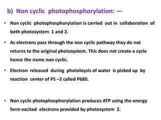 Photosynthesis | PPTX | Chemistry | Science