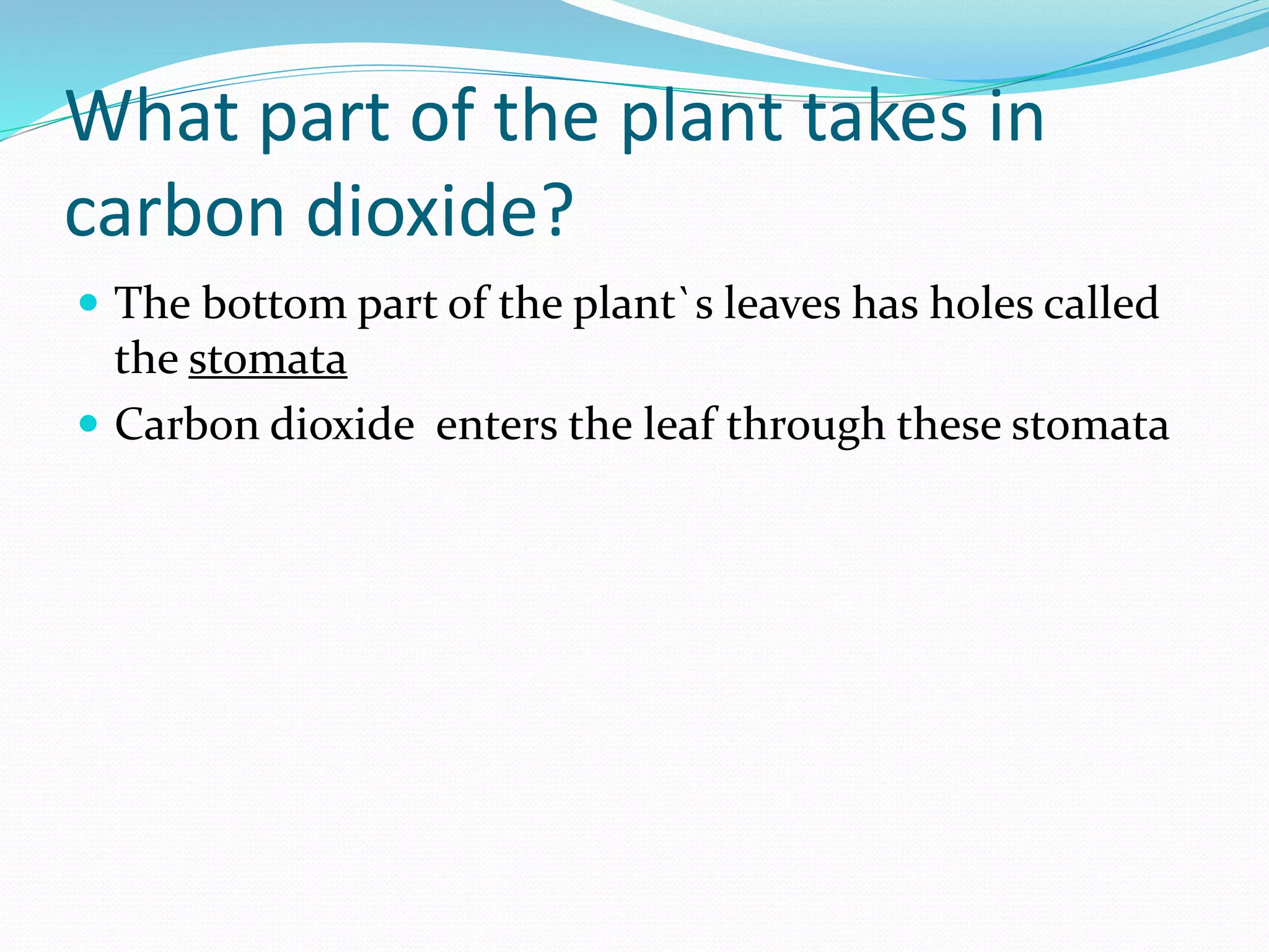 photosynthesis and respiration | PPTX