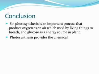 photosynthesis and respiration | PPTX