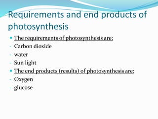 photosynthesis and respiration | PPTX