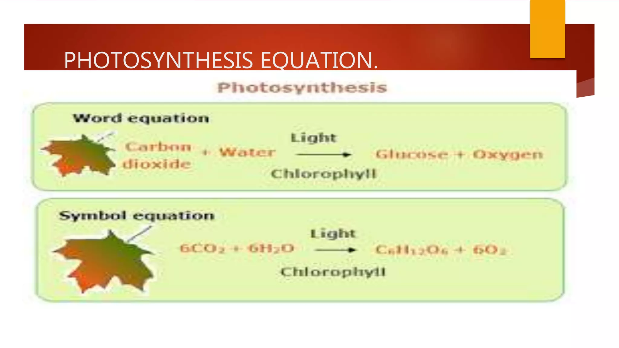 Photosynthesis | PPTX