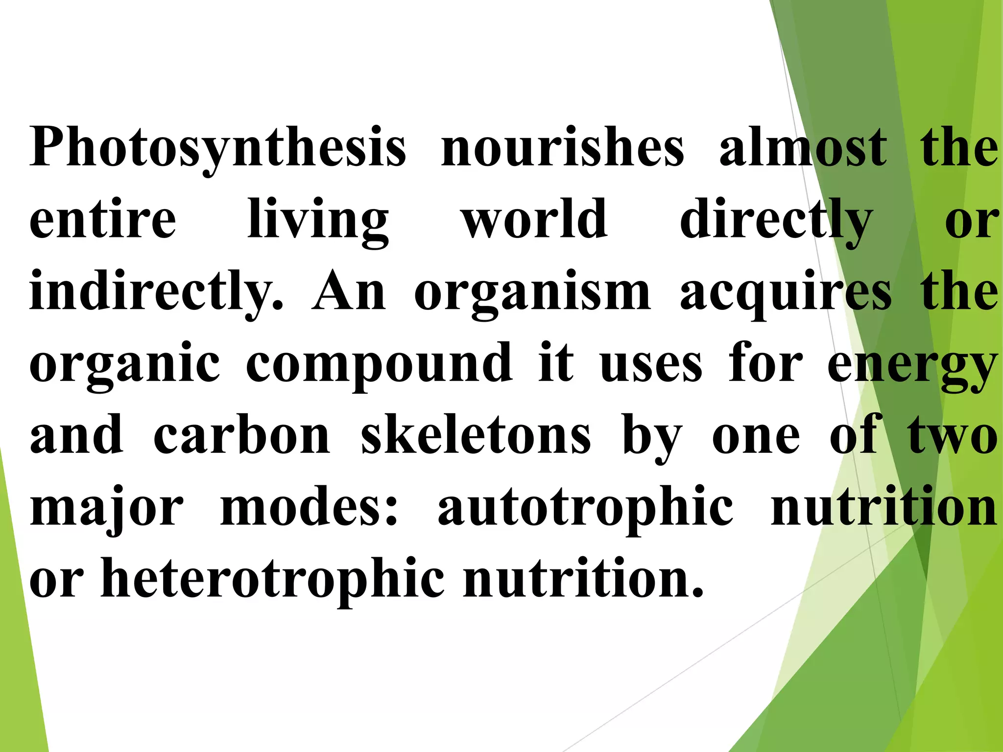 Photosynthesis | PPTX | Chemistry | Science