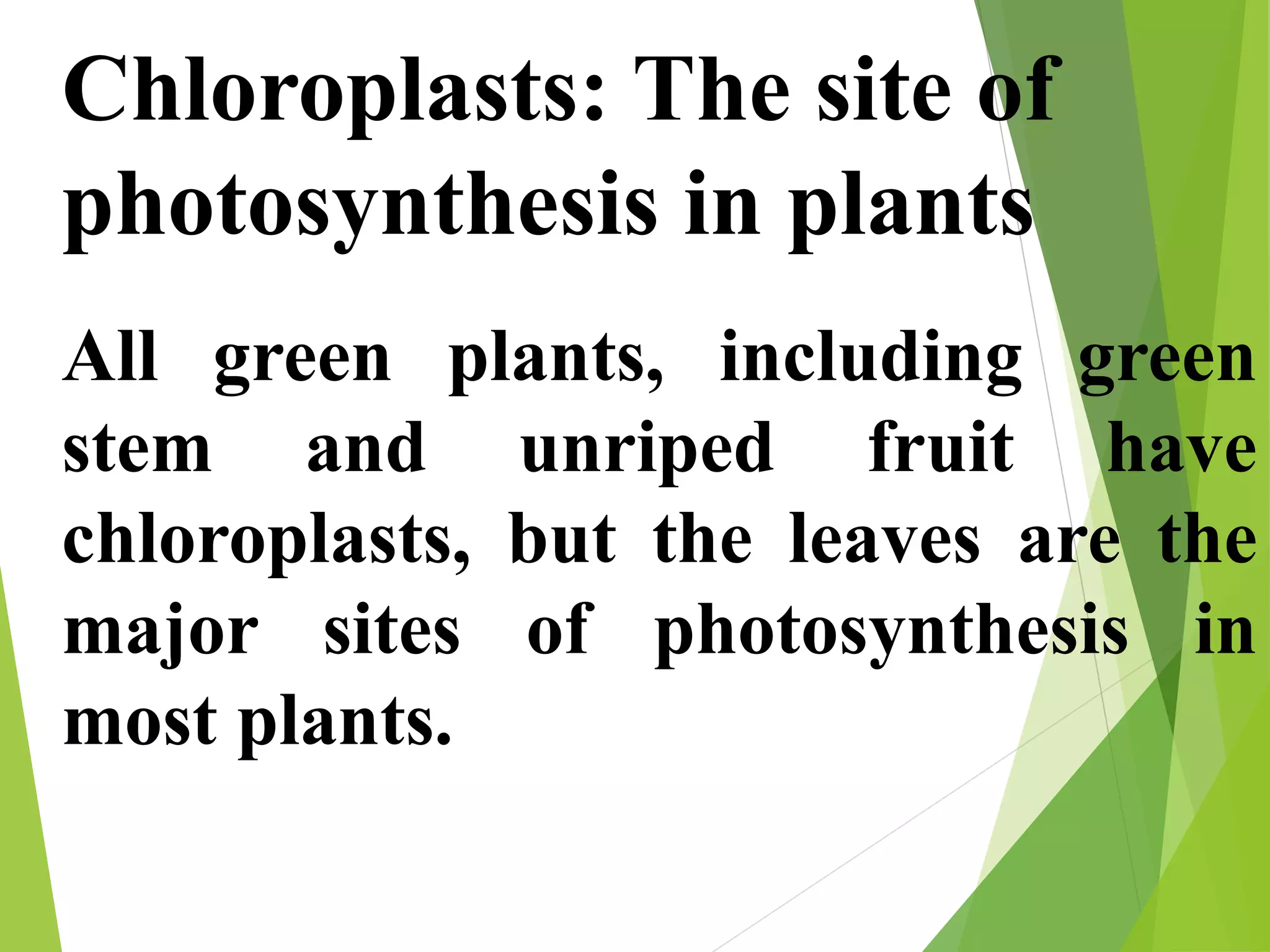 Photosynthesis | PPTX | Chemistry | Science
