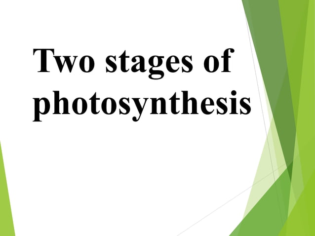 Photosynthesis | PPT