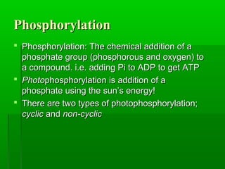 Photosynthesis-1- light reaction - photophosphorylation, | PPT ...