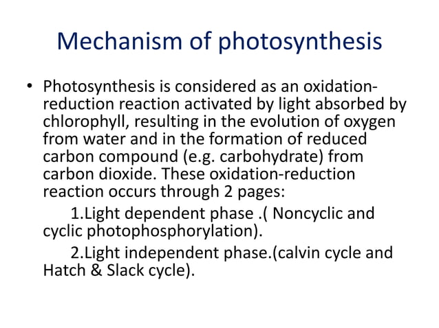 Photosynthesis | PPT