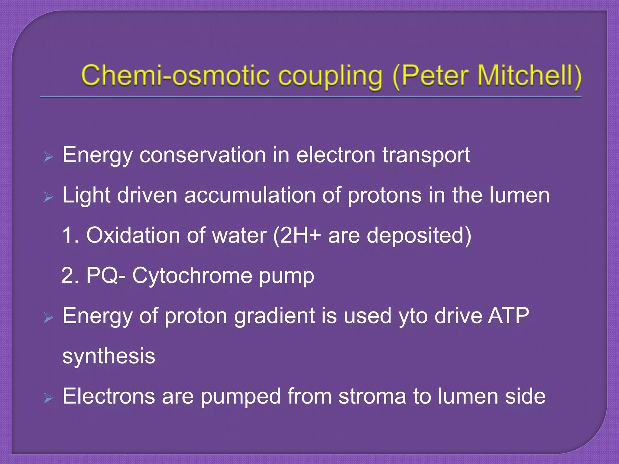 Photosynthesis | PPT