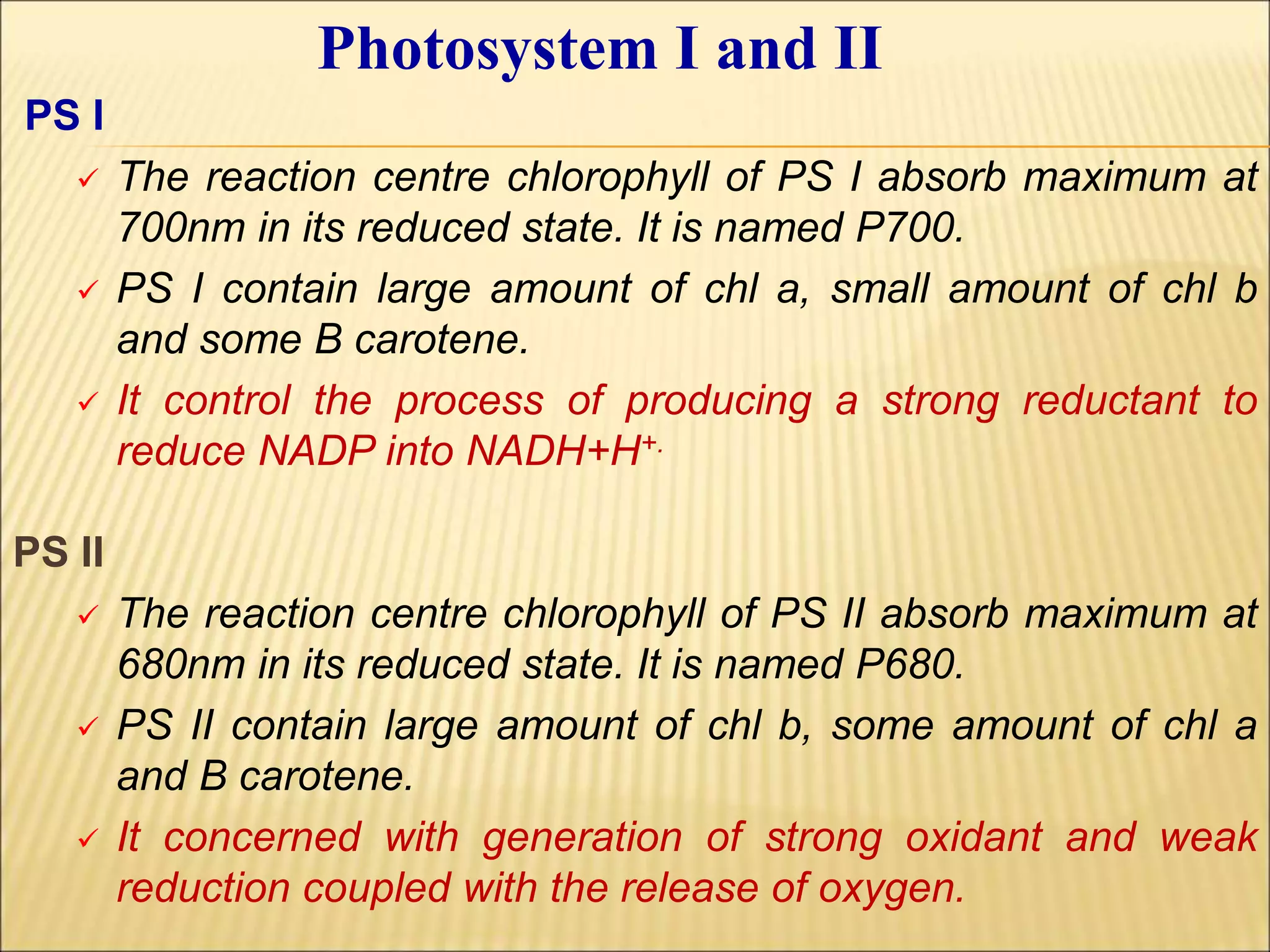 Photosynthesis | PPT