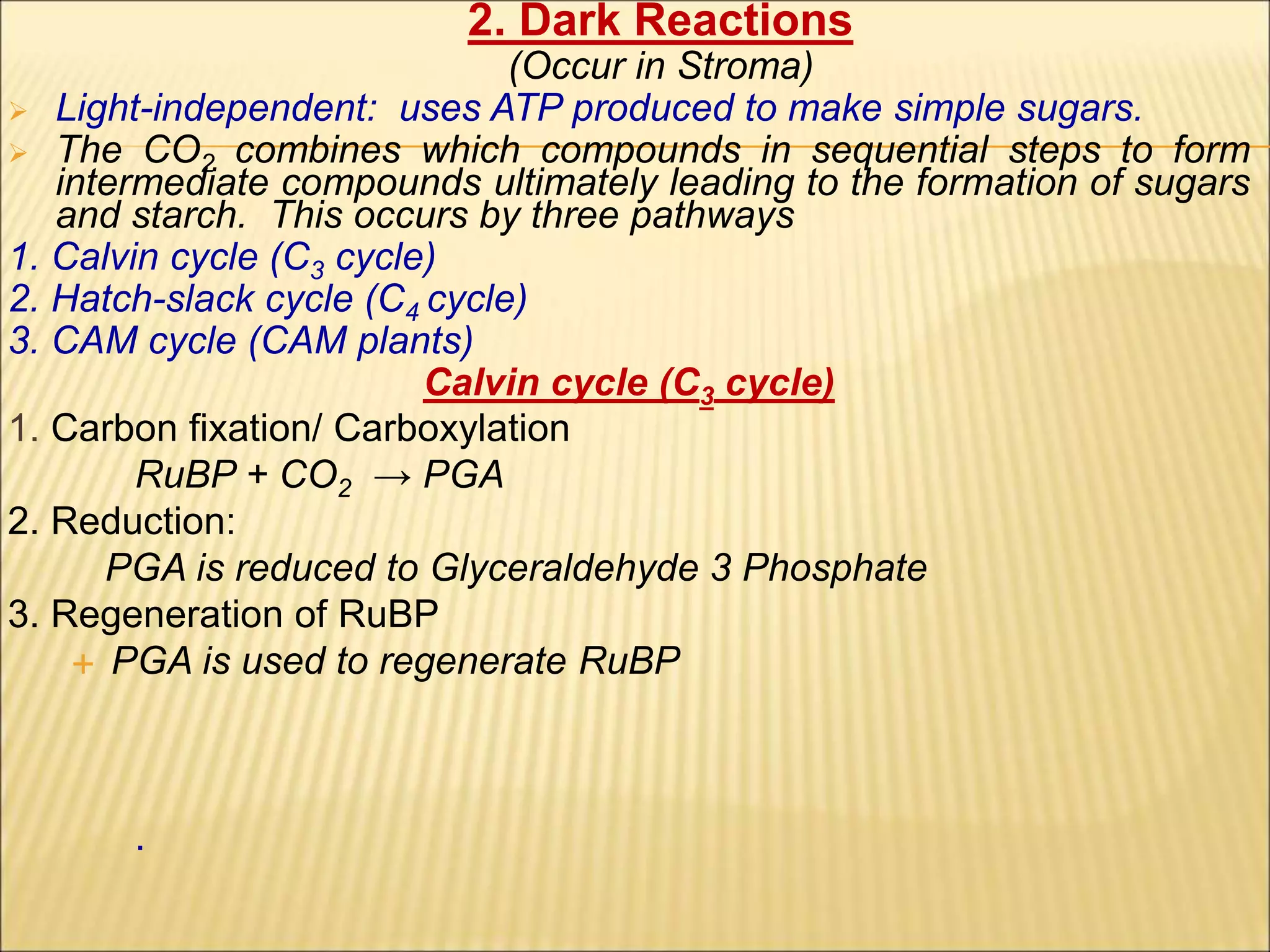 Photosynthesis | PPT