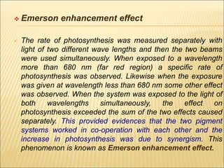 Photosynthesis | PPT