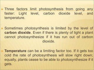 Photosynthesis | PPT