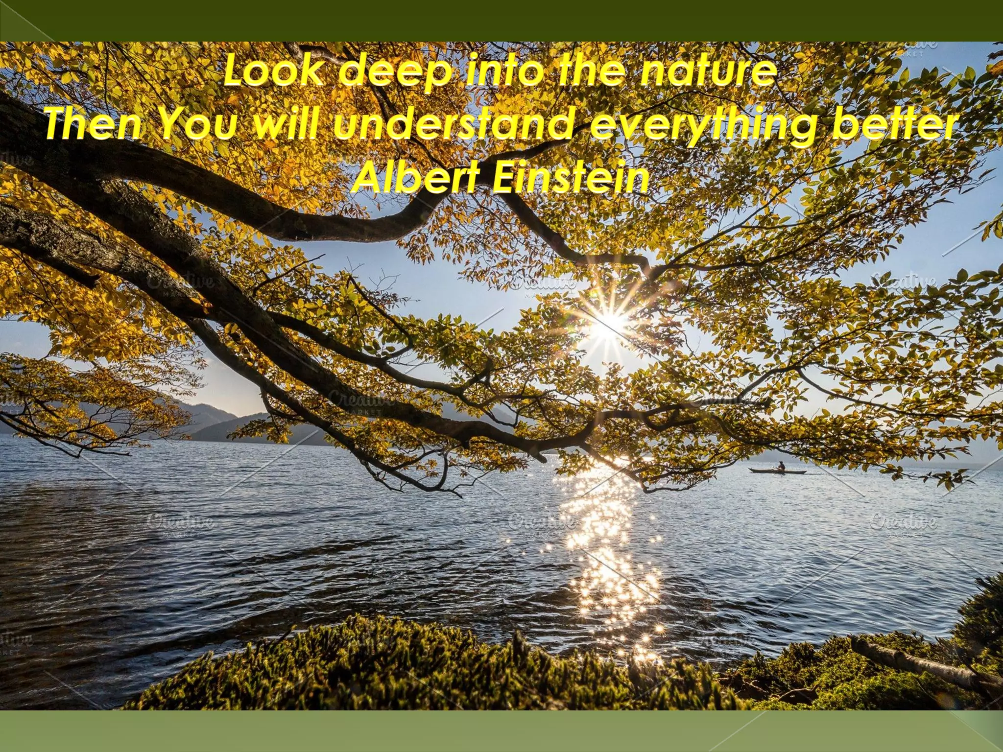 Photosynthesis : Dr. Tushar Wankhede | PPT