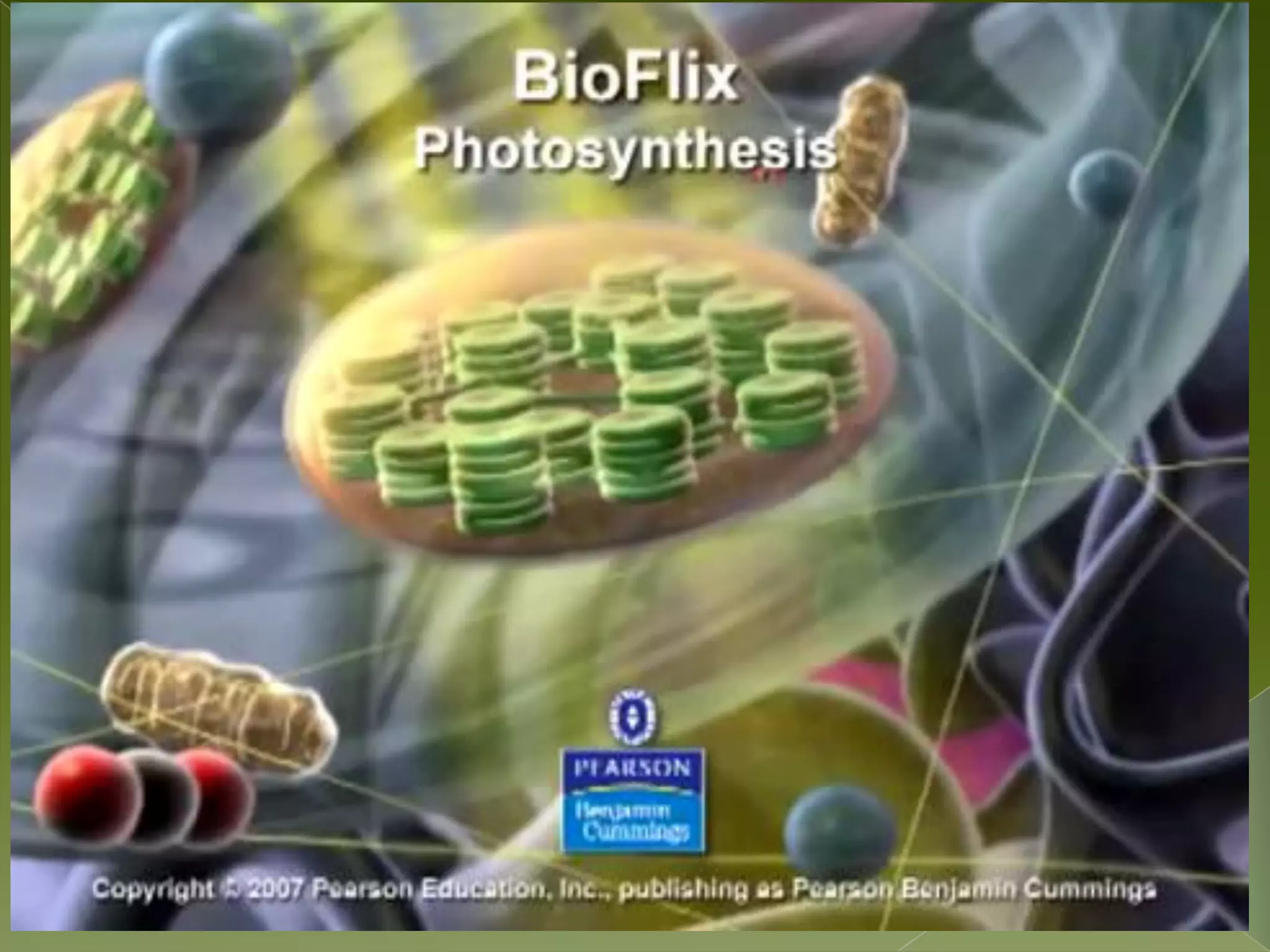 Photosynthesis : Dr. Tushar Wankhede | PPT