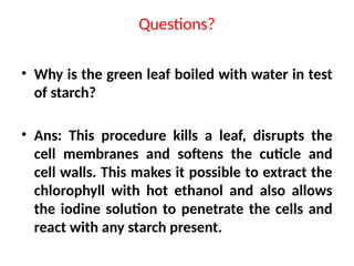 Photosynthesis-2-X.pptx Photosynthesis (/ˌf | PPTX