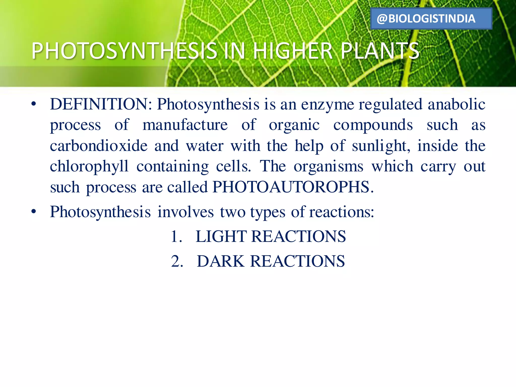 Photosynthesis by @biologistindia | PDF