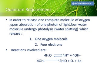 Photosynthesis by @biologistindia | PDF