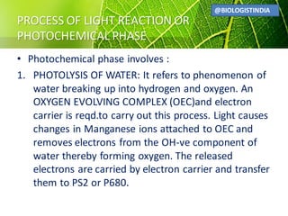 Photosynthesis by @biologistindia | PPT