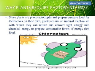 Photosynthesis by @biologistindia | PPT