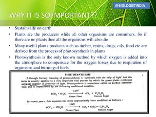 Photosynthesis by @biologistindia | PDF