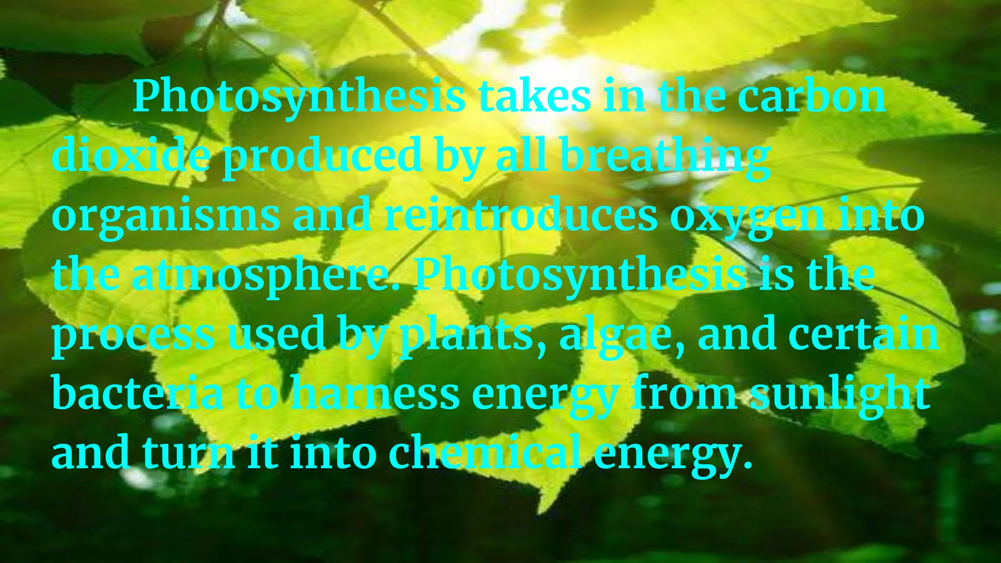 Photosynthesis | PPTX