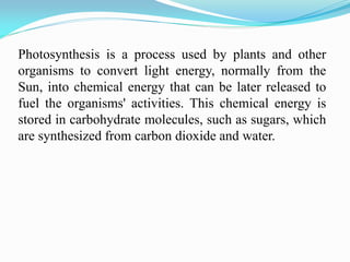 Photosynthesis | PDF | Chemistry | Science