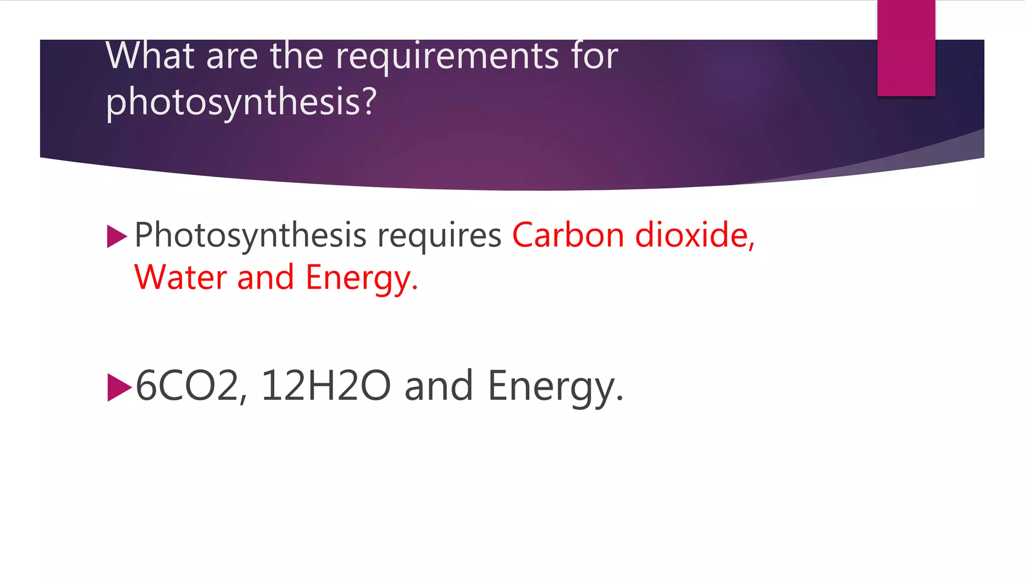Photosynthesis | PPT