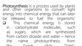 Photosynthesis | PPTX
