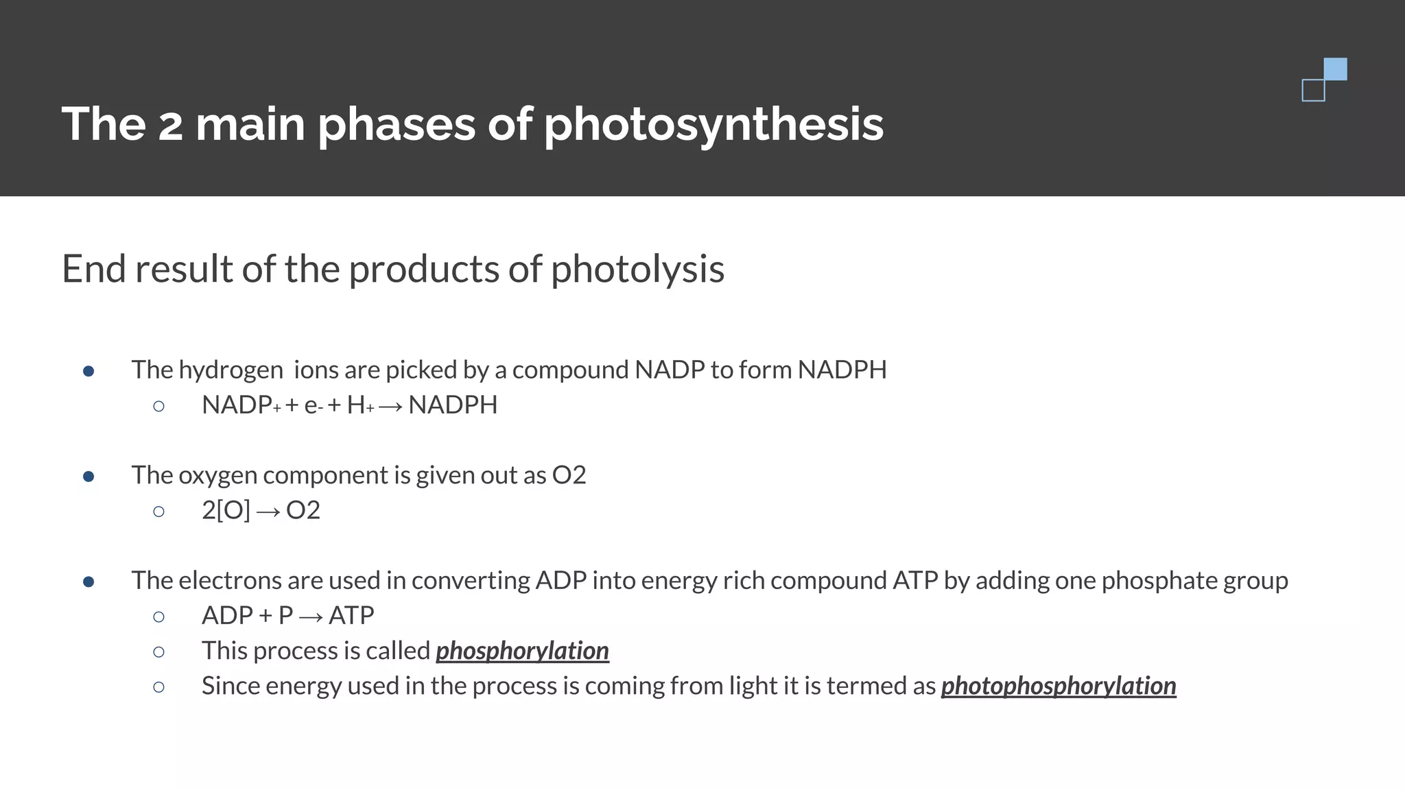 Photosynthesis | PDF