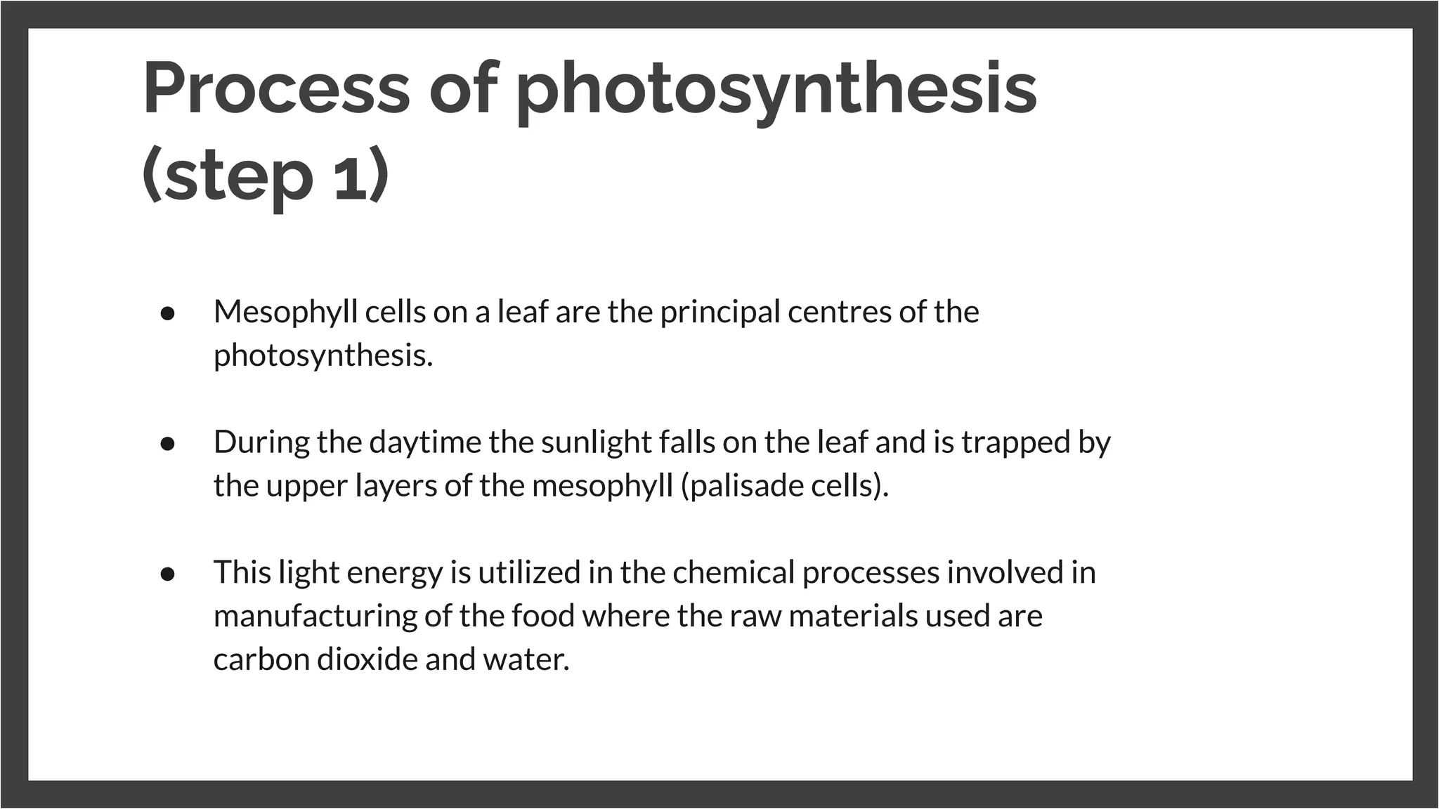 Photosynthesis | PDF