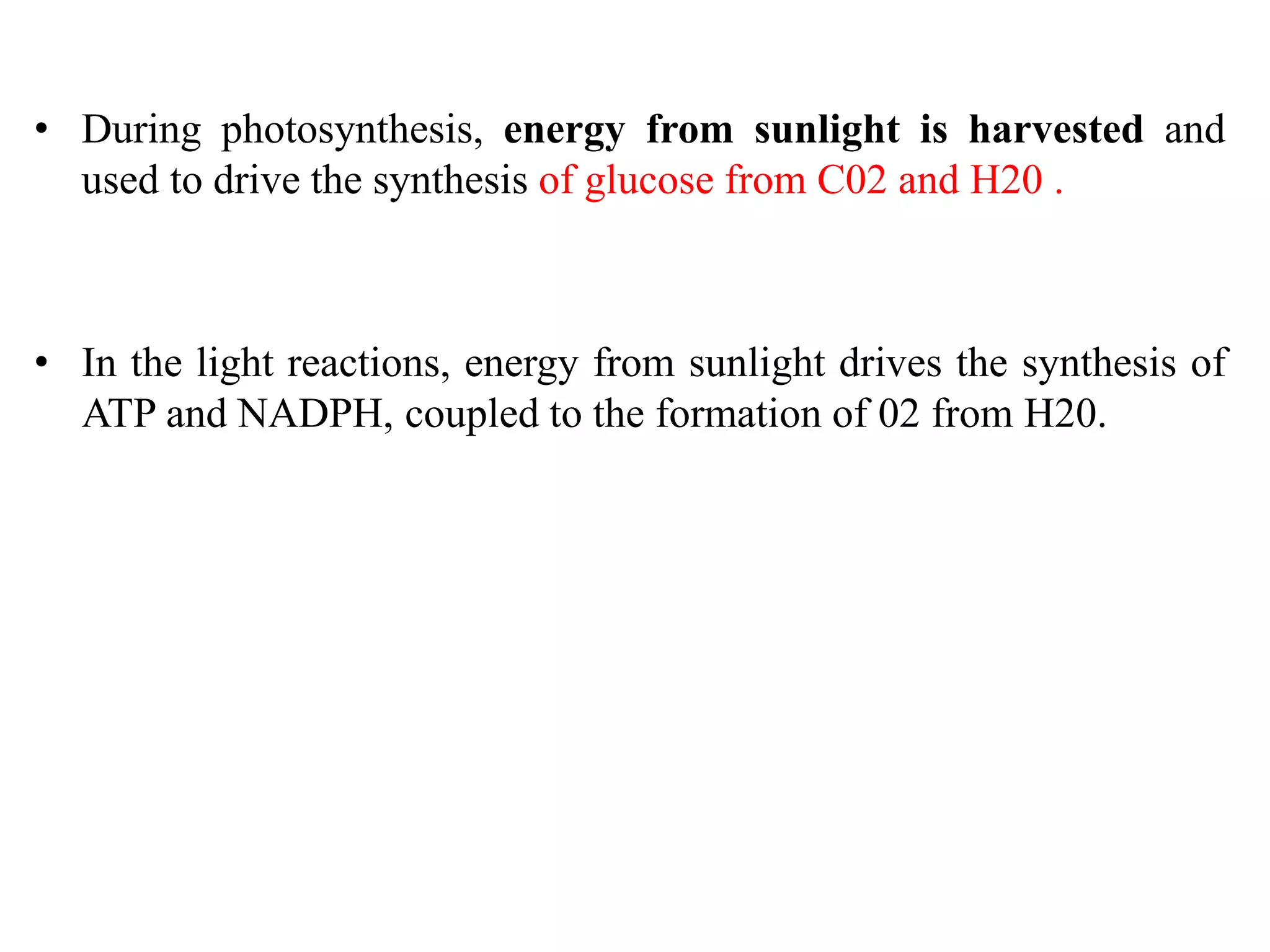 Photosynthesis light reaction and dark reaction | PPTX