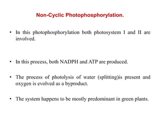 Photosynthesis light reaction and dark reaction | PPTX