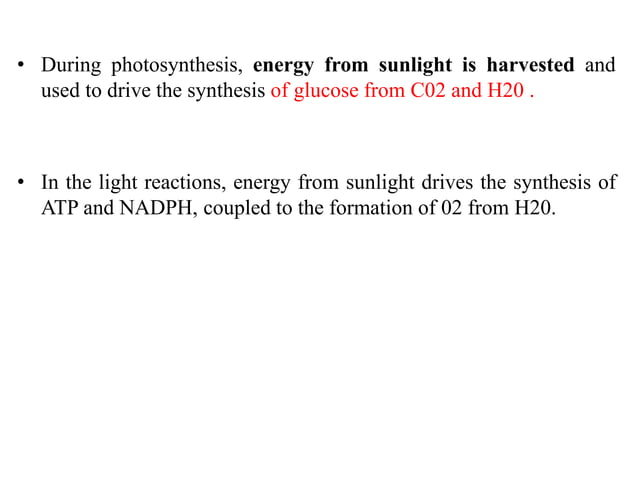 Photosynthesis light reaction and dark reaction | PPTX | Chemistry ...