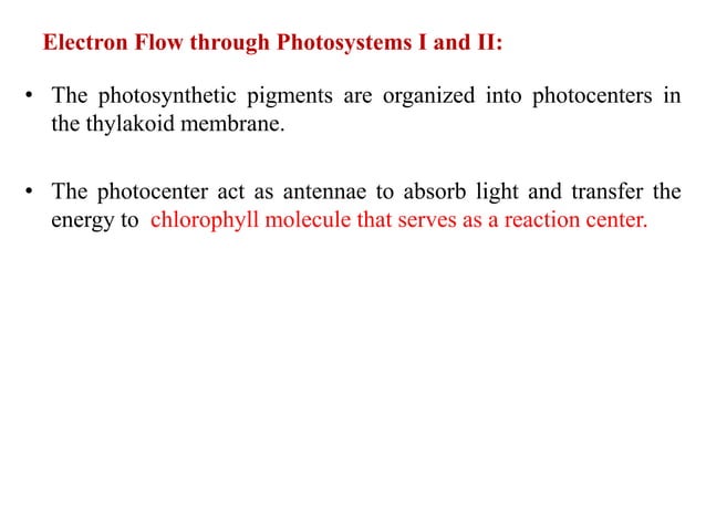Photosynthesis light reaction and dark reaction | PPTX | Chemistry | Science