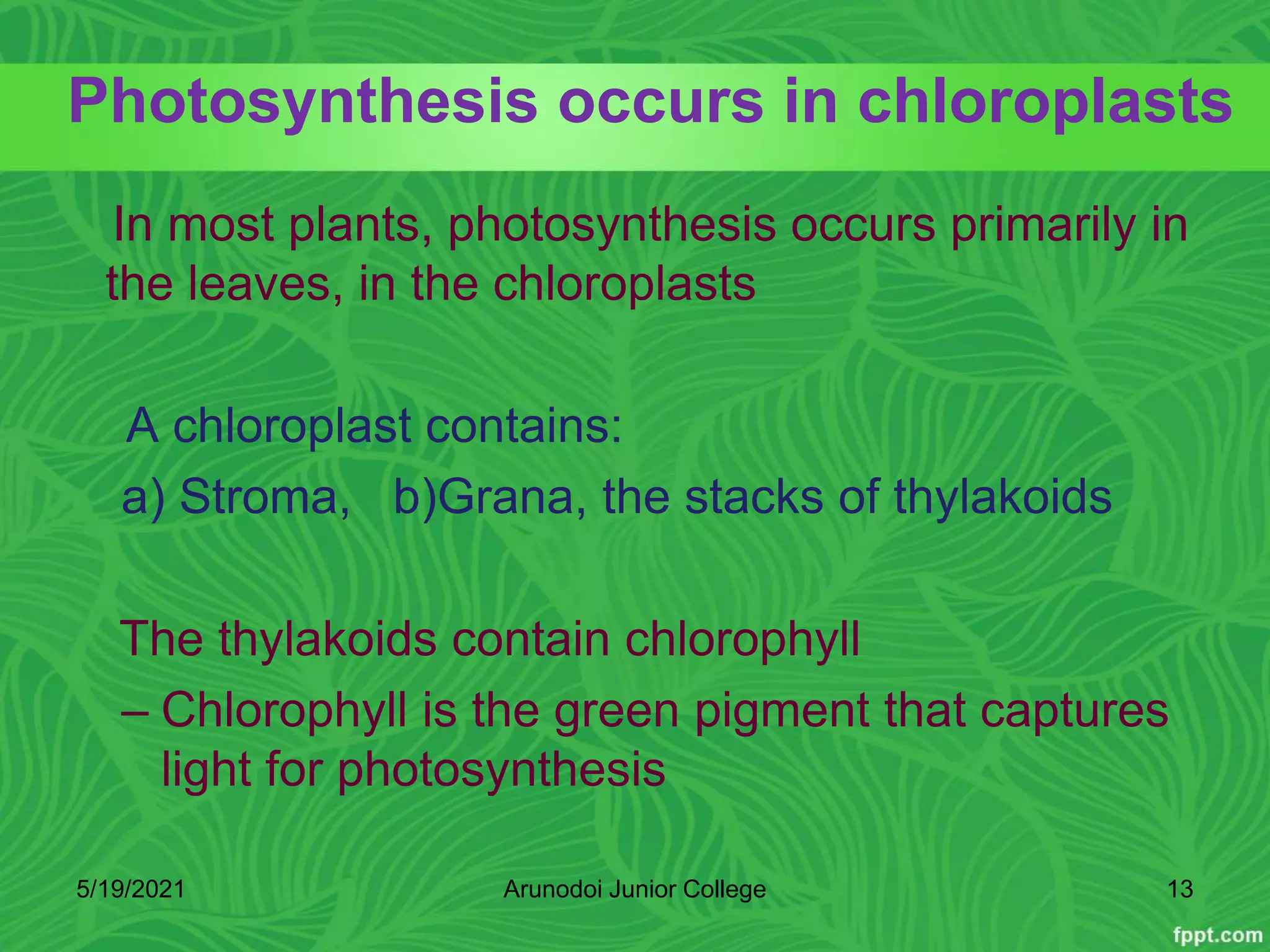 Photosynthesis | PPTX