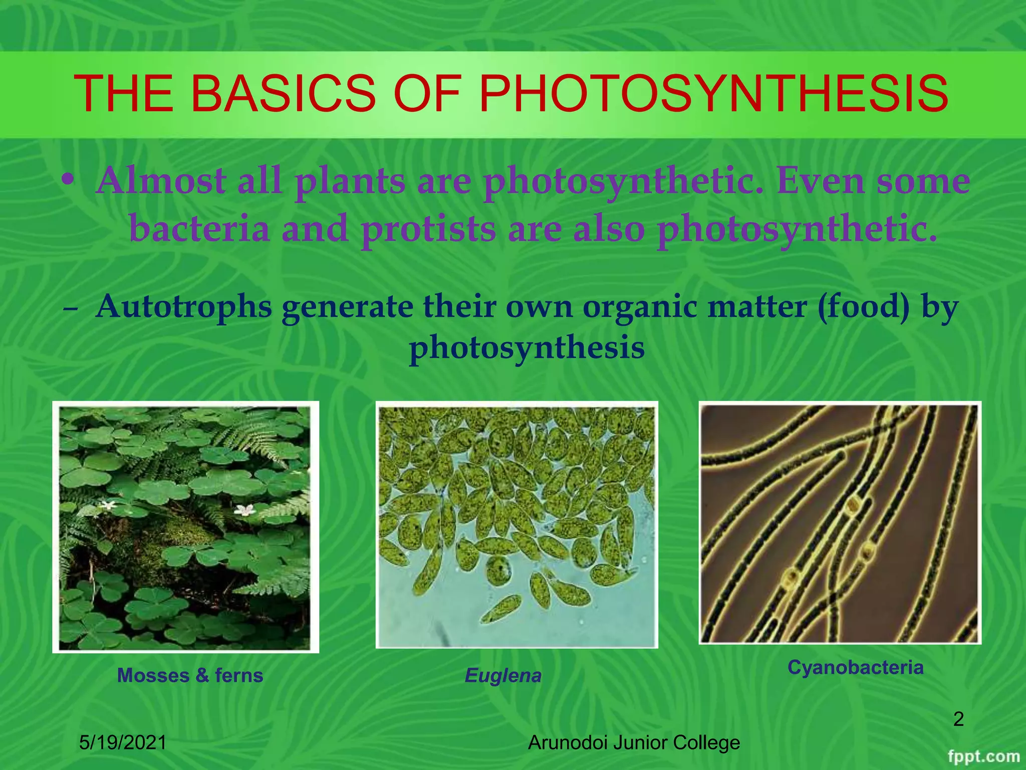 Photosynthesis | PPTX