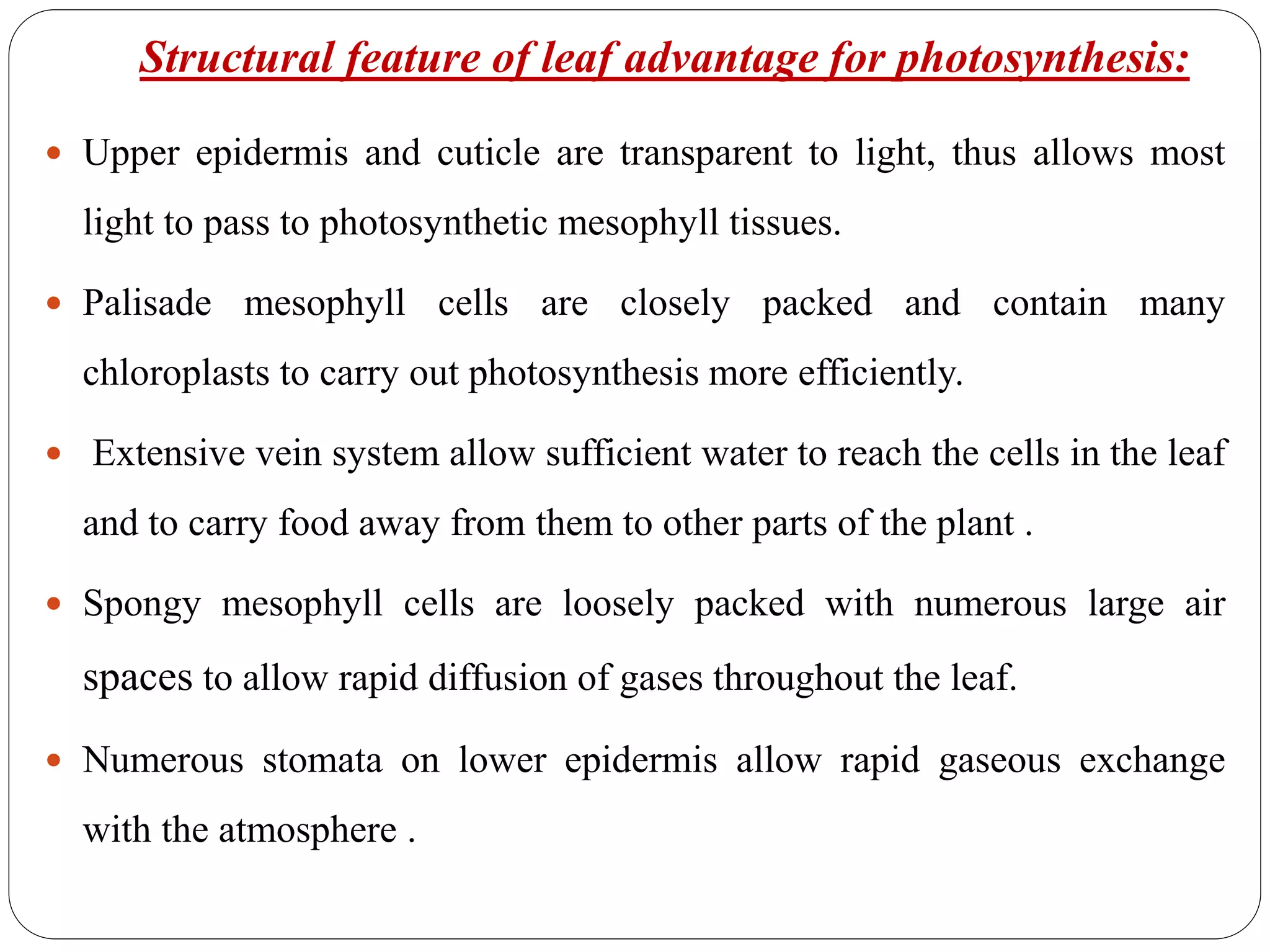 PRIMARY EVENTS IN Photosynthesis | PPTX